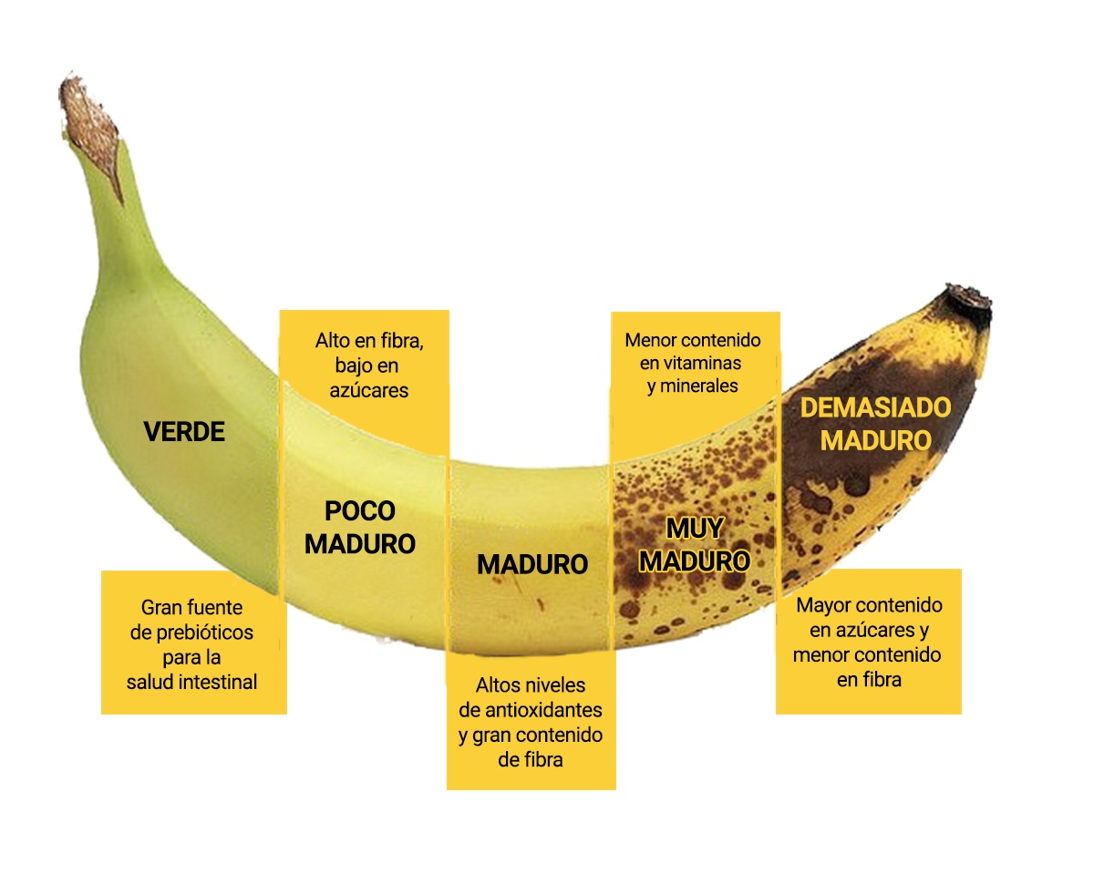 10 beneficios del plátano macho que debes conocer | Nutrición